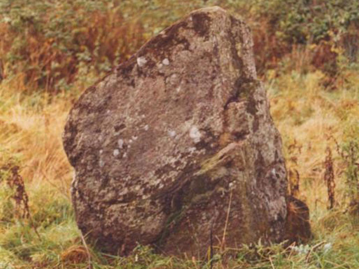 Druid’s Stone, Kindallachan | standing stone in Dunkeld and Dowally ...